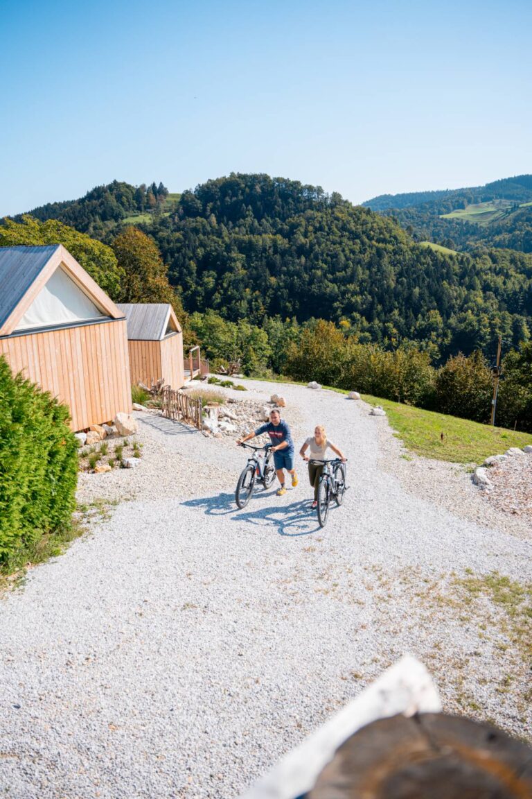 Galerija – Golife center